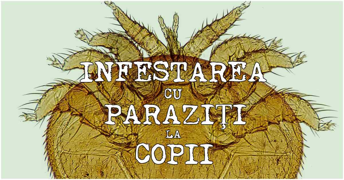 Infestarea cu Paraziţi la Copii. Lucruri Esenţiale de Ştiut despre ...