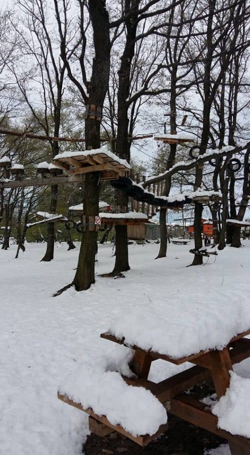 Gecko Parc. Parc de Aventură Kid-Friendly în Cluj - GOKID!