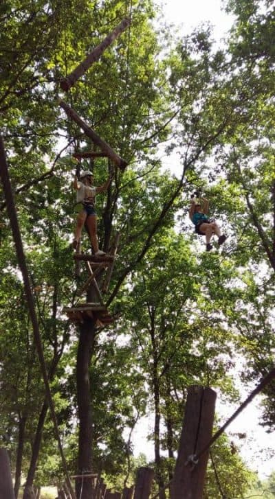 Gecko Parc. Parc de Aventură Kid-Friendly în Cluj - GOKID!