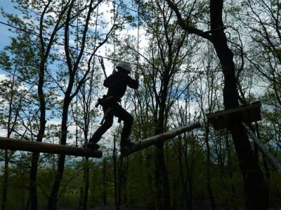 Gecko Parc. Parc de Aventură Kid-Friendly în Cluj - GOKID!