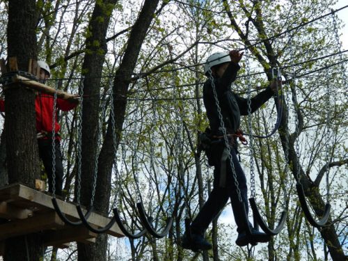 Gecko Parc. Parc de Aventură Kid-Friendly în Cluj - GOKID!