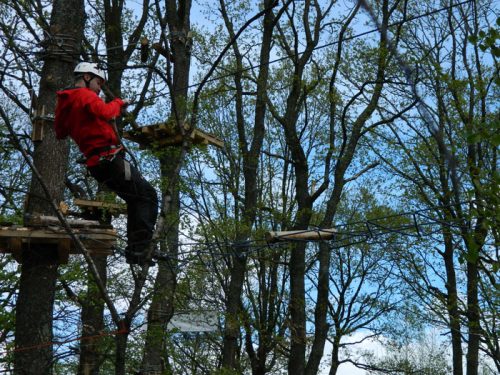 Gecko Parc. Parc de Aventură Kid-Friendly în Cluj - GOKID!