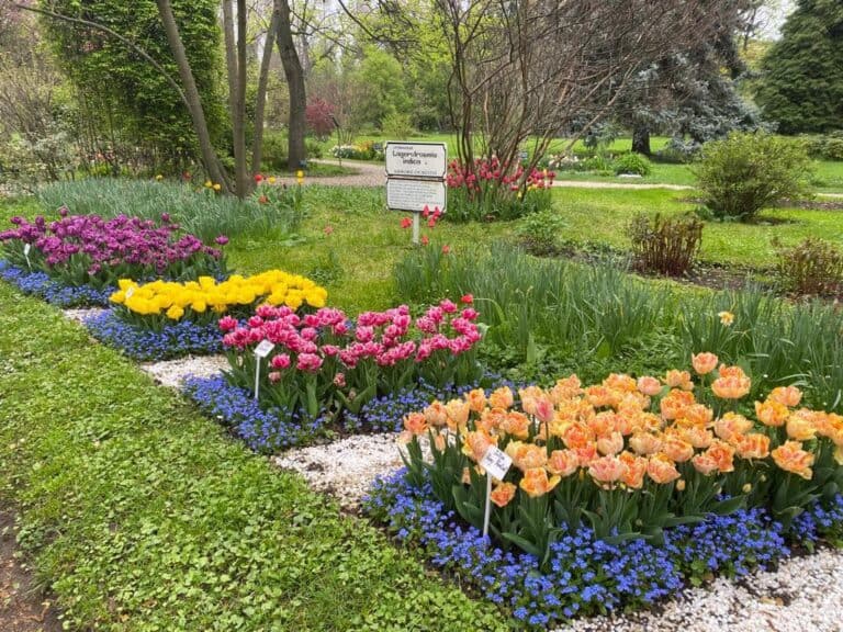 50+ Best Things to do in Bucharest with Kids - GOKID!