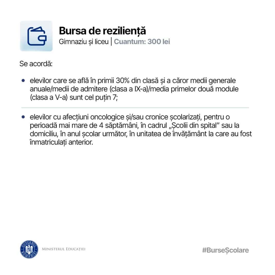 Burse pentru Elevi în Anul Școlar 2024-2025: Toate Noutățile! - GOKID!