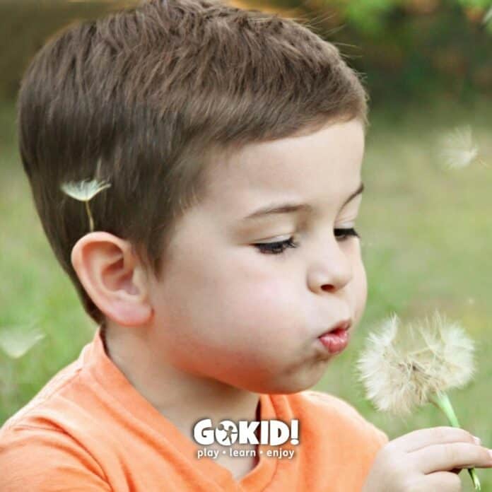 400+ Nume de Băiat: Alege Inspirat de Semnificație, Tradiție și Istorie ...